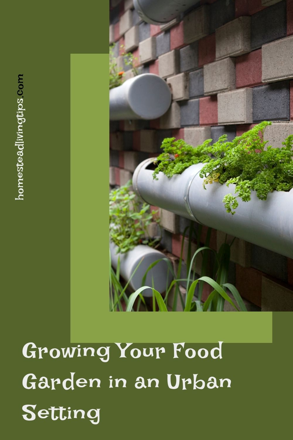 Growing Your Food Garden in an Urban Setting - Homestead Living Tips