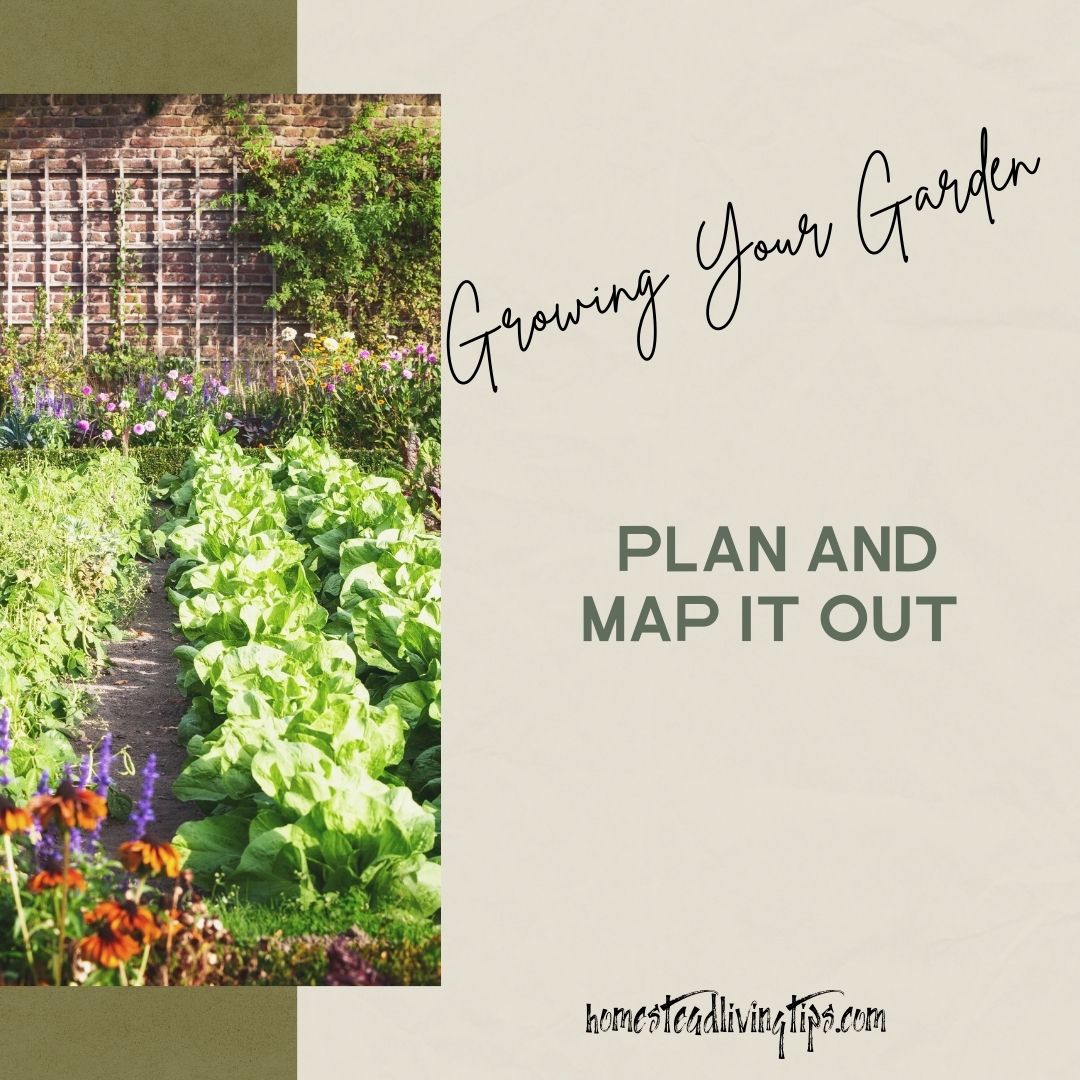 Plan and Map Out Your Garden - Homestead Living Tips