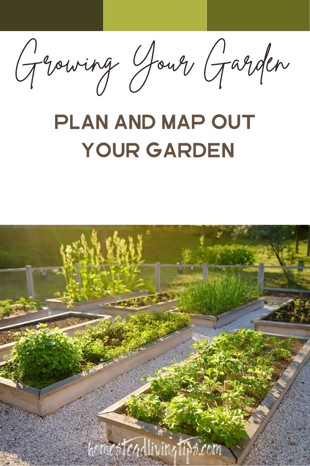 Plan and Map Out Your Garden - Homestead Living Tips